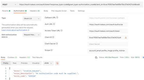카카오 로그인 Api 오류 Rest Api 카카오 데브톡