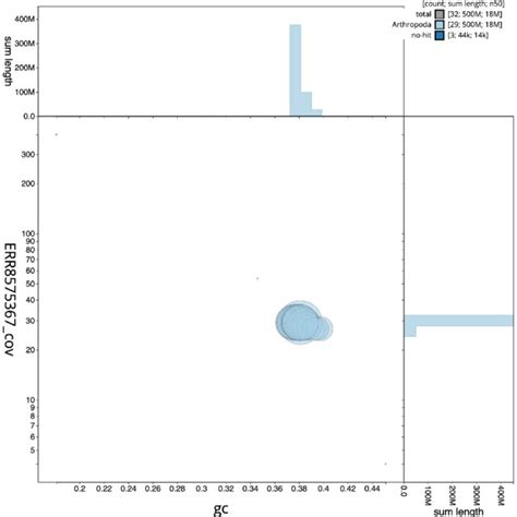 Genome Assembly Of Agriopis Marginaria Ilagrmarg11 Gc Coverage Download Scientific Diagram