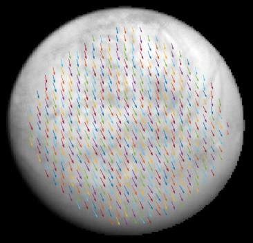 Example Of Optical Flow On Image Download Scientific Diagram