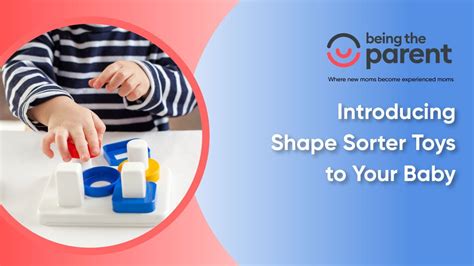 Shape Sorting Toys For Babies Youtube