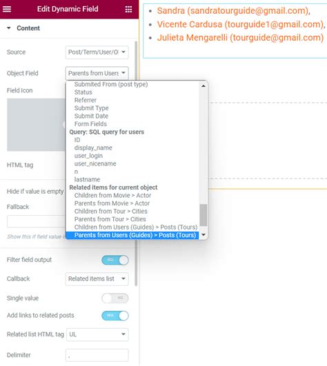 Dynamic Field Widget Overview — Jetengine Crocoblock