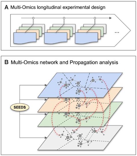 Interpretation Of Network Based Integration From Multi Omics Longitudinal Data Pmc