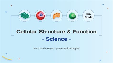Presentation Of Cell Structure And Functions