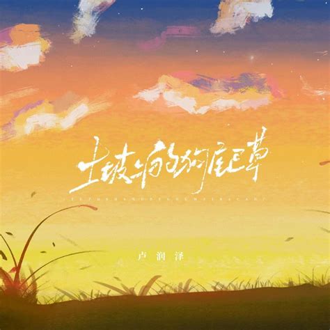 ‎《土坡上的狗尾草 Single》 卢润泽的专辑 Apple Music