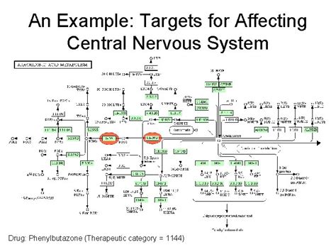 An Iterative Algorithm For Metabolic Networkbased Drug Target