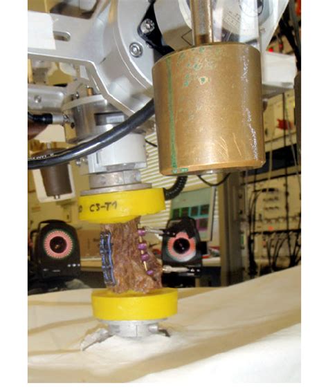 Laboratory Test Setup Specimen After 2 Level Corpectomy And Download Scientific Diagram