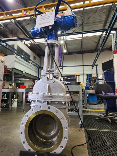 Australian Built Iecex Limitorque Exdb Iib Acrodyne