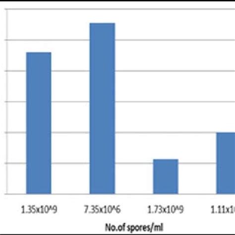 Optimization Of Inoculum Size For Cellulase Production Download Scientific Diagram