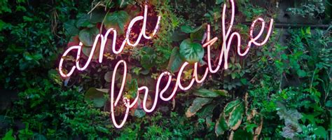 ‍sql Data To Excel Automatically Updated Your Step By Step Tutorial By Stephanie Lehuger