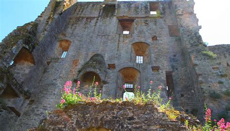 Das Schloss von Clisson