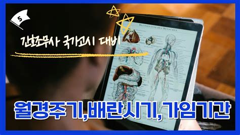 월경주기배란시기가임기간 Youtube