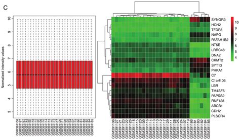 normalization and cluster heatmaps of the top 20 degs in each dataset