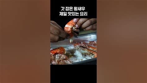 갓 잡은 왕새우 제일 맛있는 요리 왕새우 소금구이 Youtube