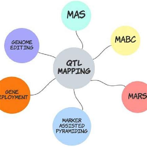Applications Of Qtl Mapping In Crop Improvement Download Scientific Diagram