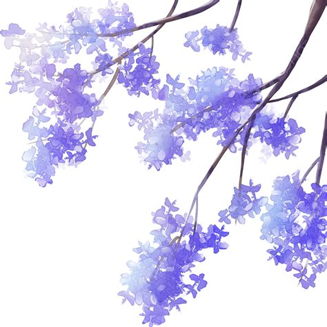 보라색 꽃 보라색 꽃 만화 손으로 그린 Png 일러스트 및 이미지 에 대한 무료 다운로드 Pngtree 2023 꽃 자주색 꽃 라일락