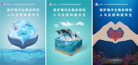 世界海洋日2021年 中国自然资源经济网 自然资源经济网
