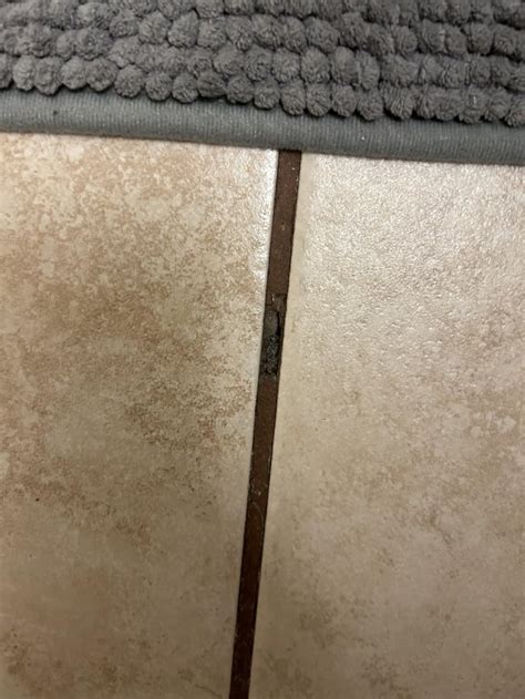How To Fix Gaps Between Bathroom Tiles Rdiy
