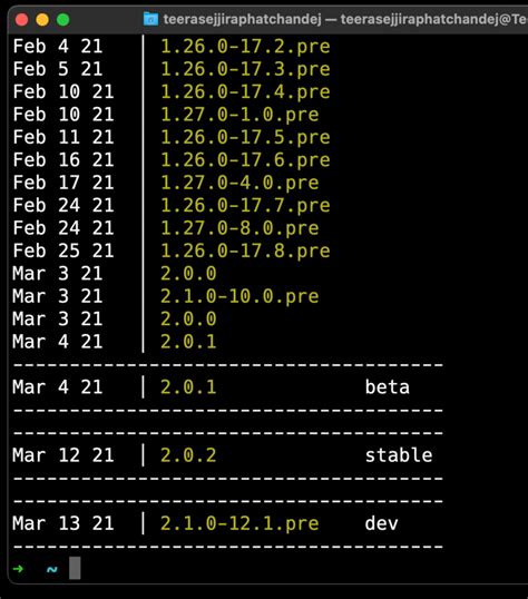 จัดการเวอร์ชั่นของ Flutter Sdk ด้วย Fvm อัพได้ไม่ต้องกลัวโปรเจคพัง Nextflow
