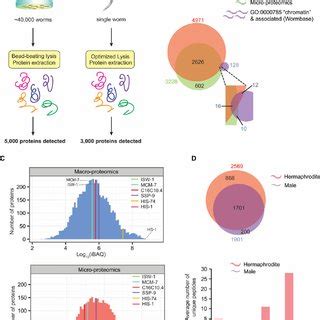 Comparison Of Micro Proteomics And Macro Proteomics Analysis Of C