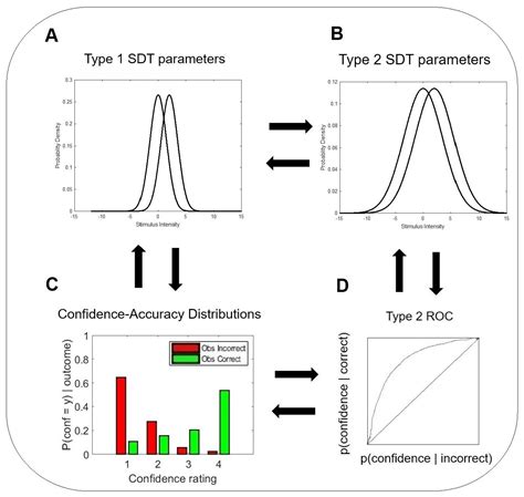 Information Theoretic Measures Of Metacognitive Efficiency Empirical Validation With The Face