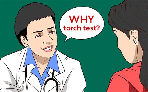 Avail Torch Profile Test With Best Cost In Kolkata Accuhealth Diagnostics