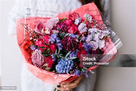 회색 벽 배경에 라벤더와 크림슨 색상 카네이션 장미 히 아 신 스 Mattiola 난초의 큰 아름 다운 신선한 꽃 꽃다발을 들고 하는 아주 좋은 꽃집 여자 가까이 보기