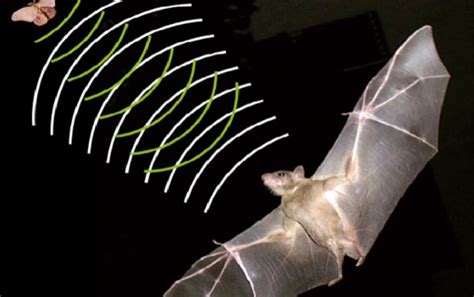 Demystifying Complexity A Deep Dive Into Evolution Of Complexity