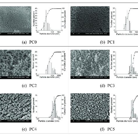 SEM Images And Corresponding Particle Size Distributions Of The Download Scientific Diagram
