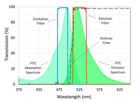 Fluorescence Filter Sets For Microscopy And Imaging Photonic Solutions
