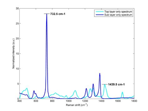 Mean Raman Spectra After Normalization To Their Mean Intensity Of Top Download Scientific