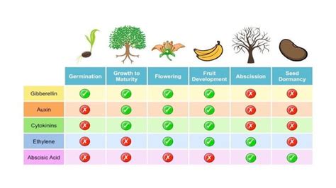Biochemistry Hormone Classification Byneha Yadav Ppt