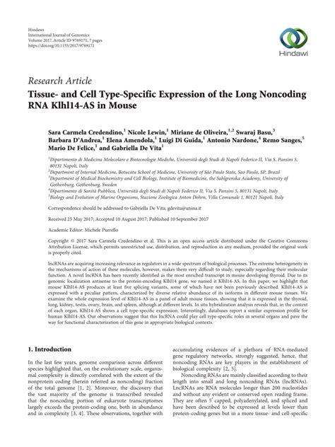 Pdf Tissue And Cell Type Specific Expression Of The Long Noncoding