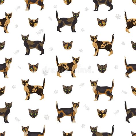 Asian Shorthair Tortoiseshell Cat Seamless Pattern All Coat Colors