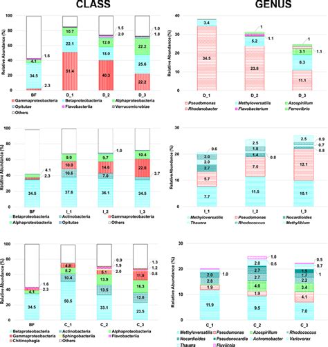Taxonomic Composition And Temporal Dynamics Of Bacteria Found In The Download Scientific