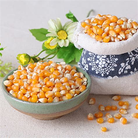 爆米花玉米 米花海报 裂玉米 大山谷图库