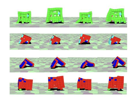 Regenerating Soft Robots Through Neural Cellular Automata
