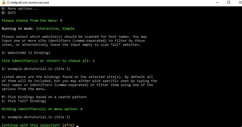 How To Install Lets Encrypt With Iis On Windows Server 2019 Devtutorial