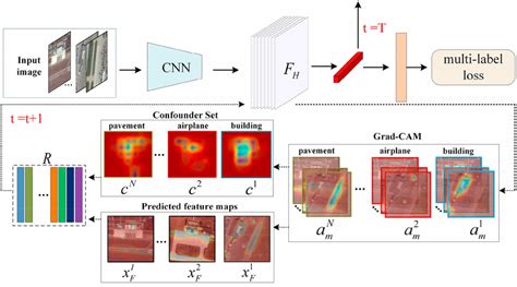 Framework Of Confounder Free Object Feature Extraction Branch