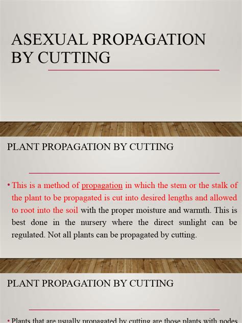 Asexual Propagation By Cutting Pdf