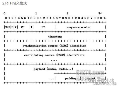 抓包分析rtsp Rtp H264 51cto博客 Rtp Rtsp