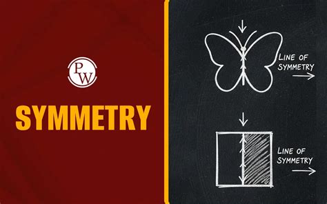 Symmetry Types Facts And Examples