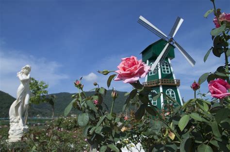三亚国际玫瑰谷三亚亚龙湾际玫瑰谷际玫瑰谷大山谷图库