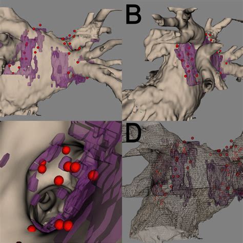 Representative Examples Of The Raw Data Sets That Were Registered And