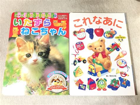 いたずらねこちゃん どうぶつ奇想天外これなあに 岡本次枝2点セット 中古 送料198円 絵本一般 g eの落札情報詳細