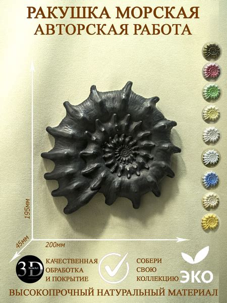Украшение настенное интерьерное New3dart Морская ракушка спираль