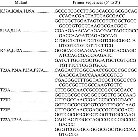 Primers Used For Mutagenesis Reactions Download Table