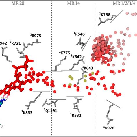 Ntp Loading Through Ch2 The Successful Diffusion Trajectory Across Ch2 Download Scientific
