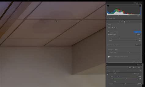 P New AI Powered Generative Remove Early Access Page Adobe Community
