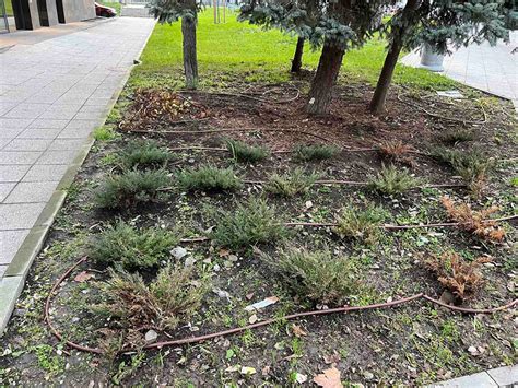 Културен дом НХК