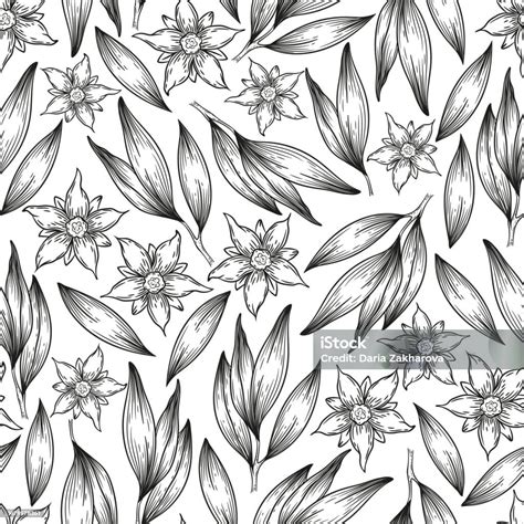 손으로 그린 꽃 나뭇가지 나뭇잎이 흰색 배경에 격리된 매끄러운 흑백 벡터 패턴 인쇄 카드 섬유 미용 및 화장품 포장을 위한 식물 디자인 0명에 대한 스톡 벡터 아트 및 기타